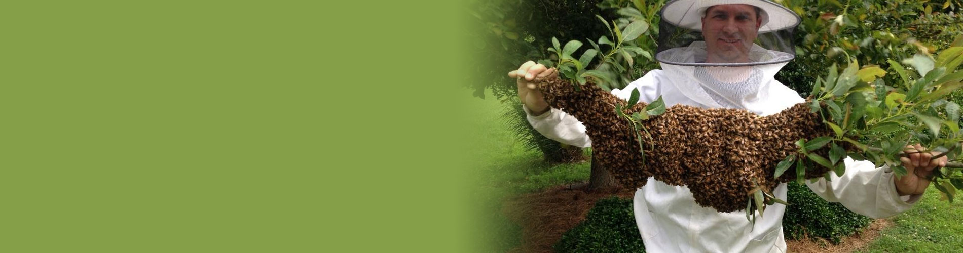 Bee Removal Merced, CA - Bee Removal Service